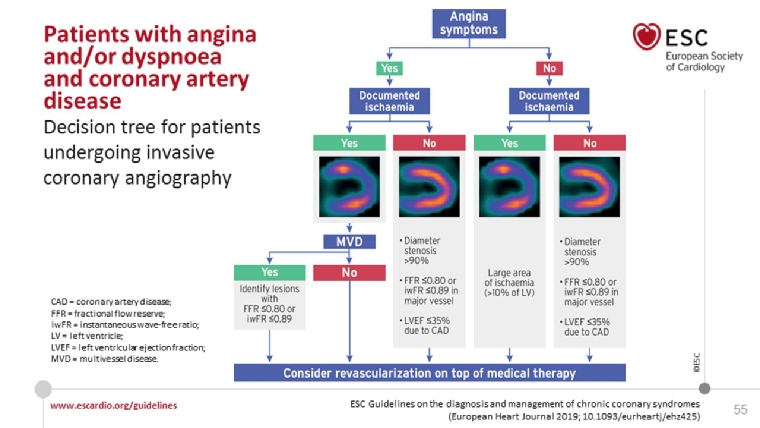 Commentary on the new ESC Guidelines on Chronic Coronary Syndromes